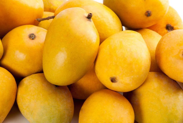 Top 10 Popular Mango Varieties in India 2026 | Price-List