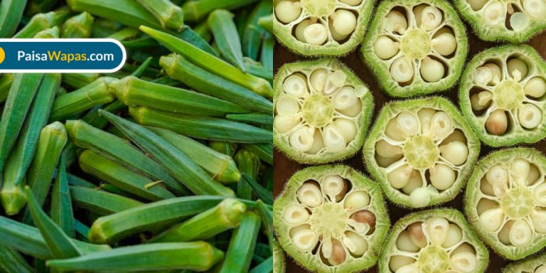 Top 12 Ladyfinger (Bhindi): Uses, Benefits, Side effects