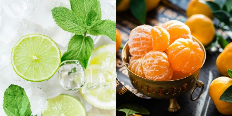 Orange vs. Mosambi: The Ultimate Showdown You Need to Know